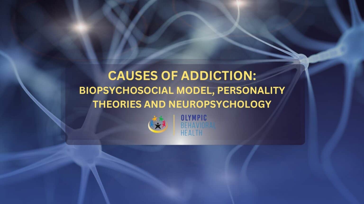 Causes of Addiction: Biopsychosocial Model, Personality Theories and ...