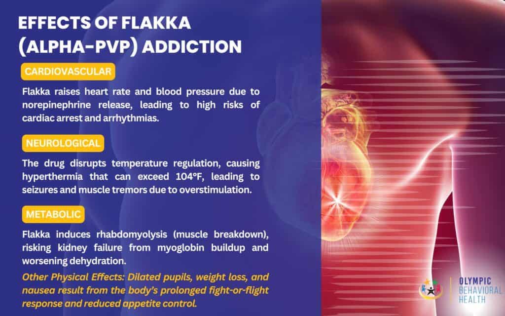 Flakka (Alpha-PVP) Addiction: Symptoms, Risks, Effects, Diagnosis, and Treatment - Olympic ...